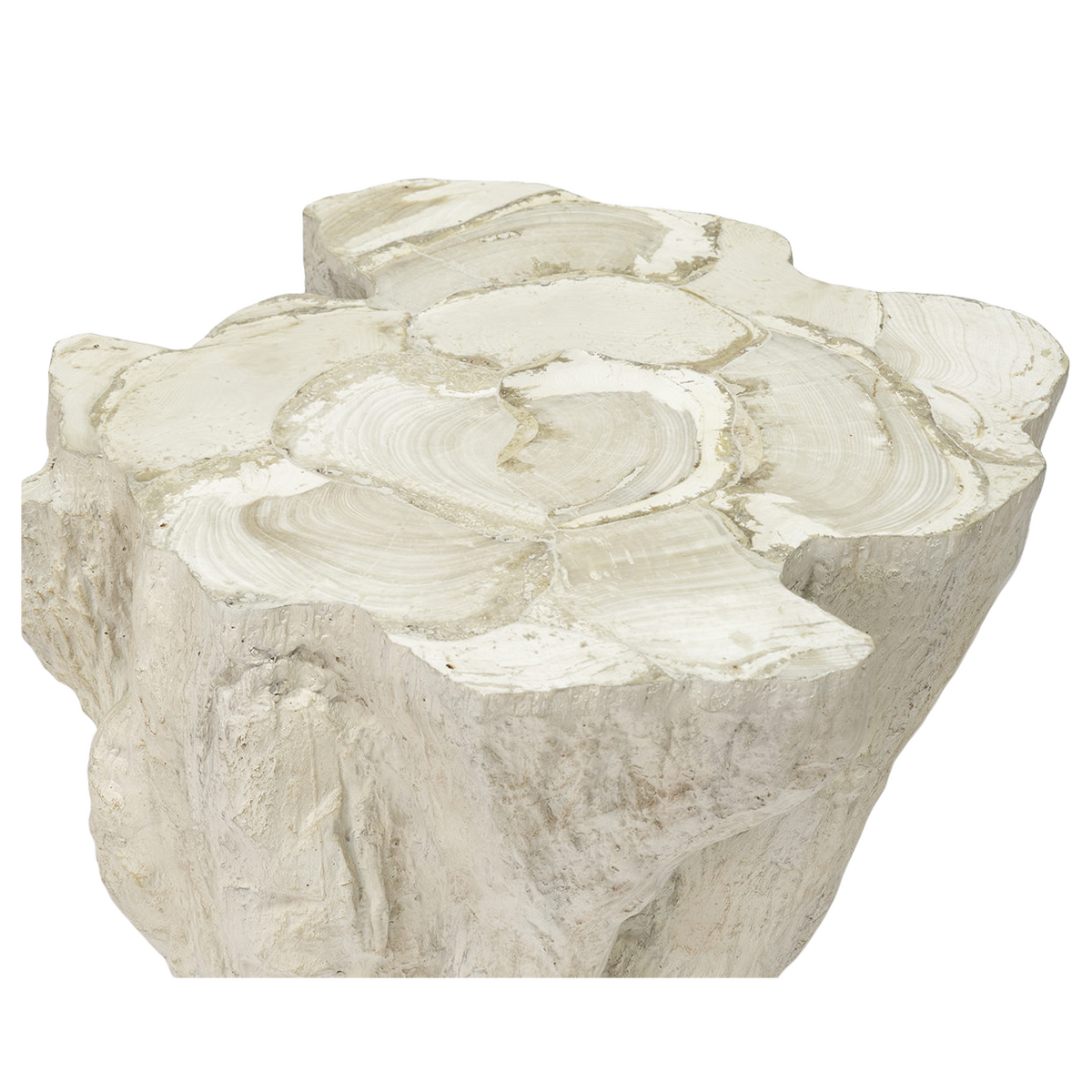 Fossilized Clam Side Table | NUANCE home + lifestyle